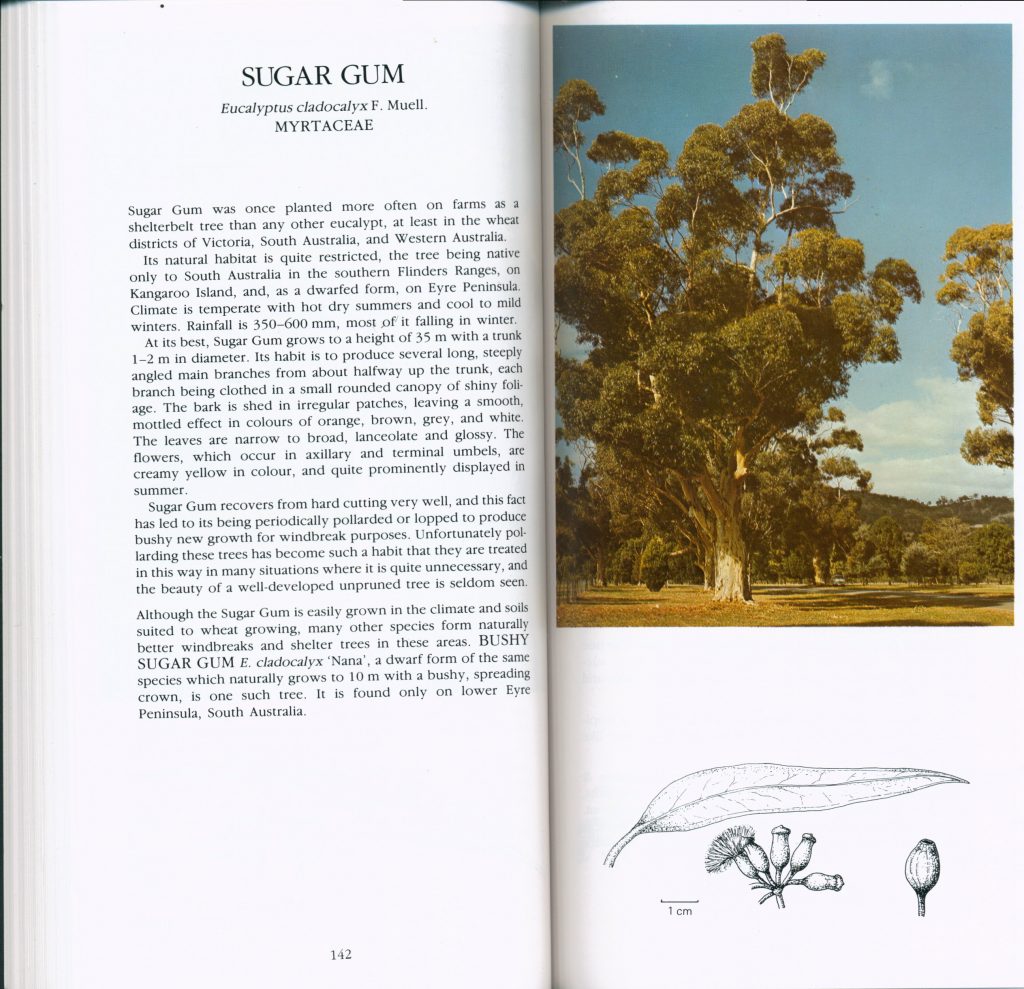 A Field Guide to Australian Trees (Third Edition) - Nokomis
