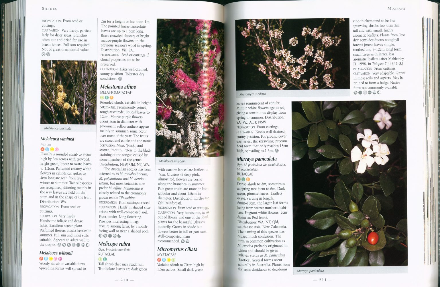 Australian Native Plants (Concise Edition): Cultivation, Use in ...