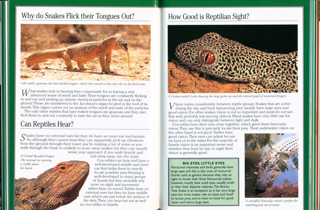 Green Guide to Snakes and Other Reptiles of Australia - Nokomis