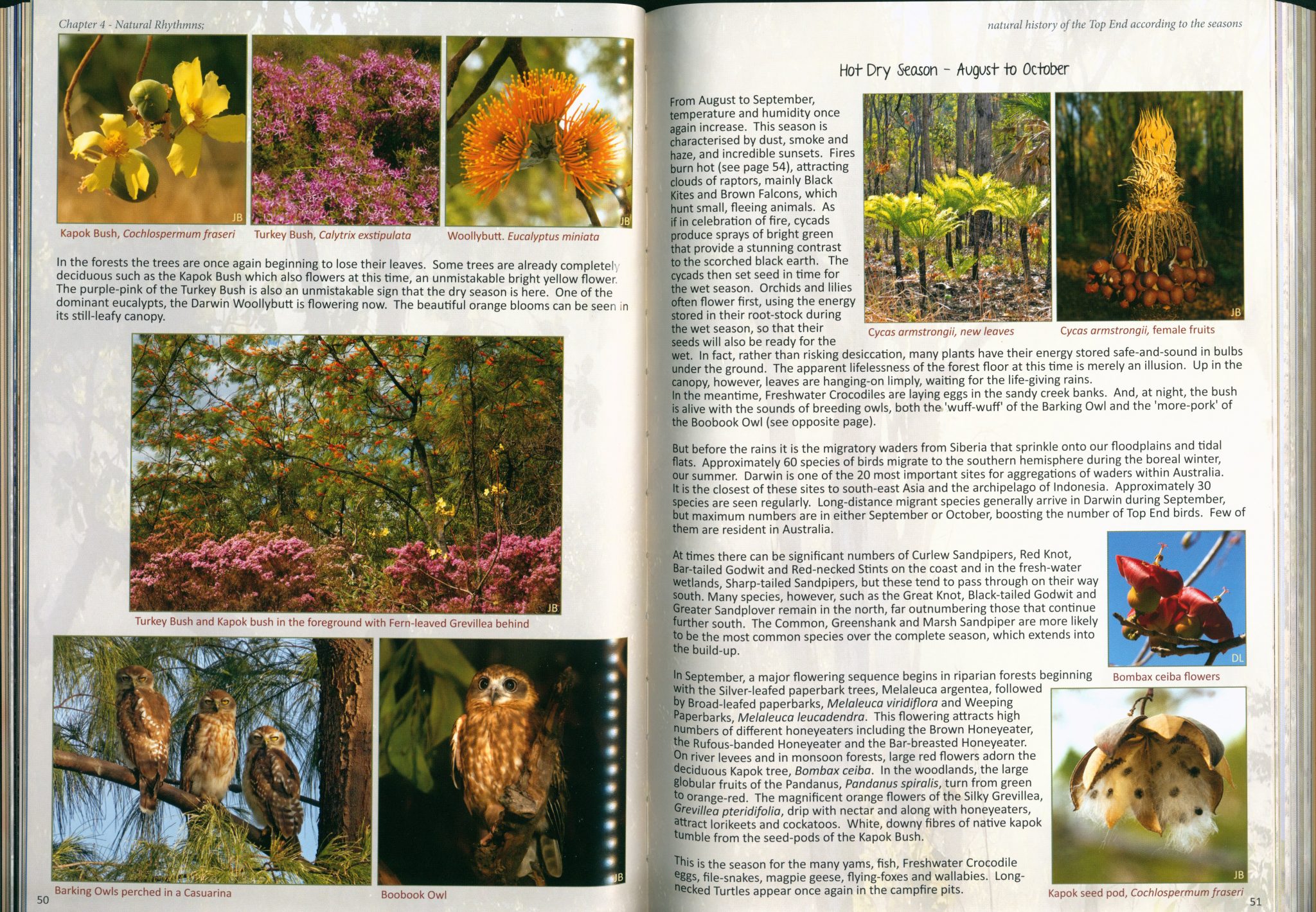 A Natural History and Field Guide to Australia's Top End - Nokomis