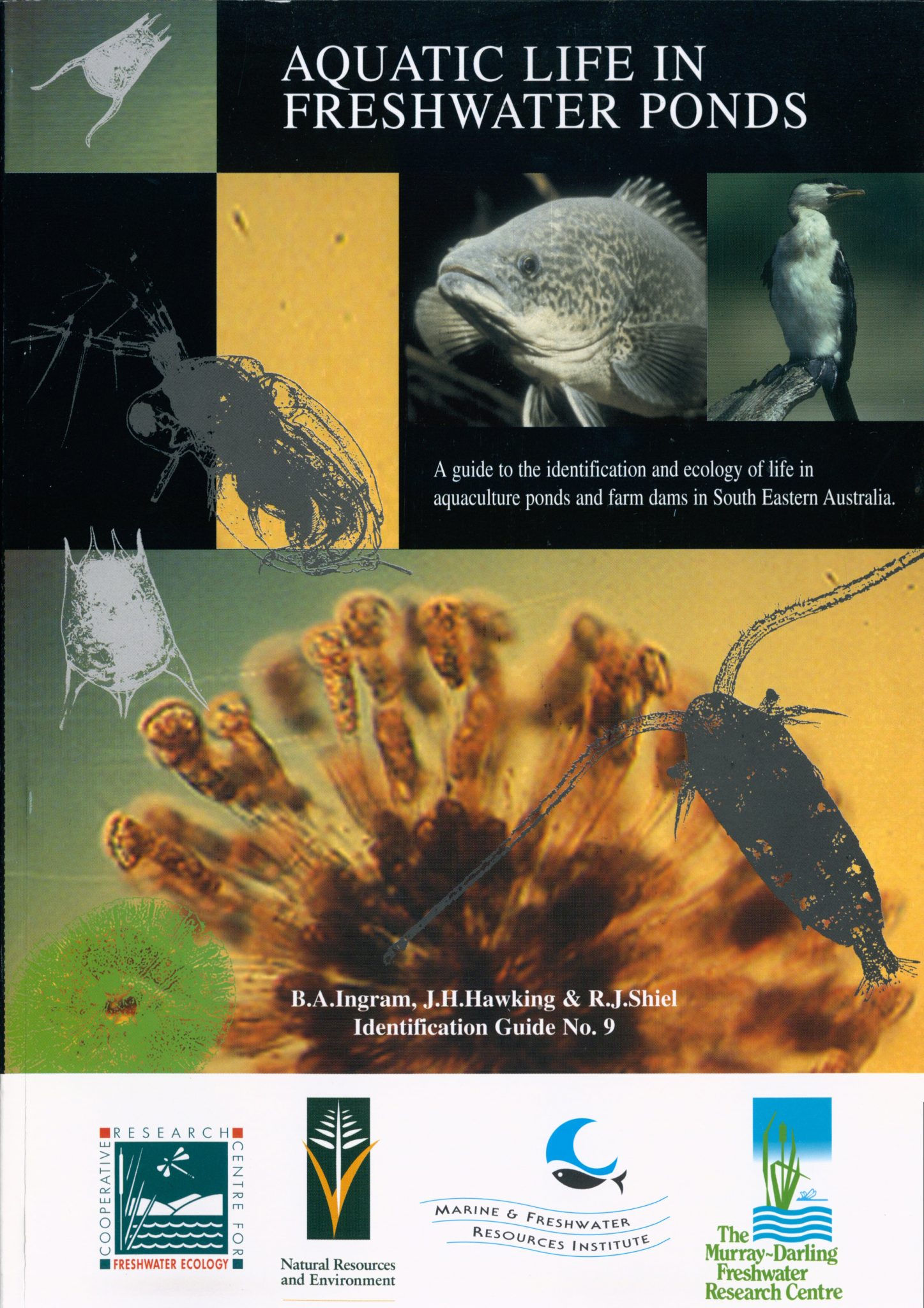 Aquatic Life in Freshwater Ponds: A Guide to the Identication and ...