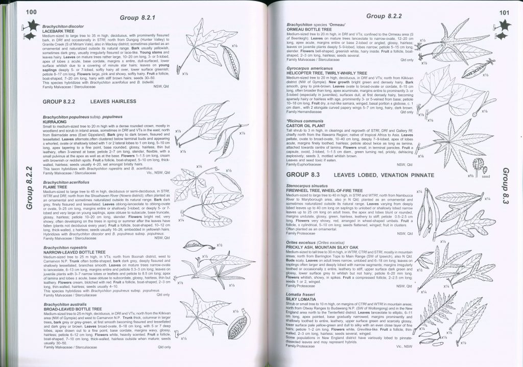 Rainforest Trees and Shrubs: A Field Guide to their Identification ...