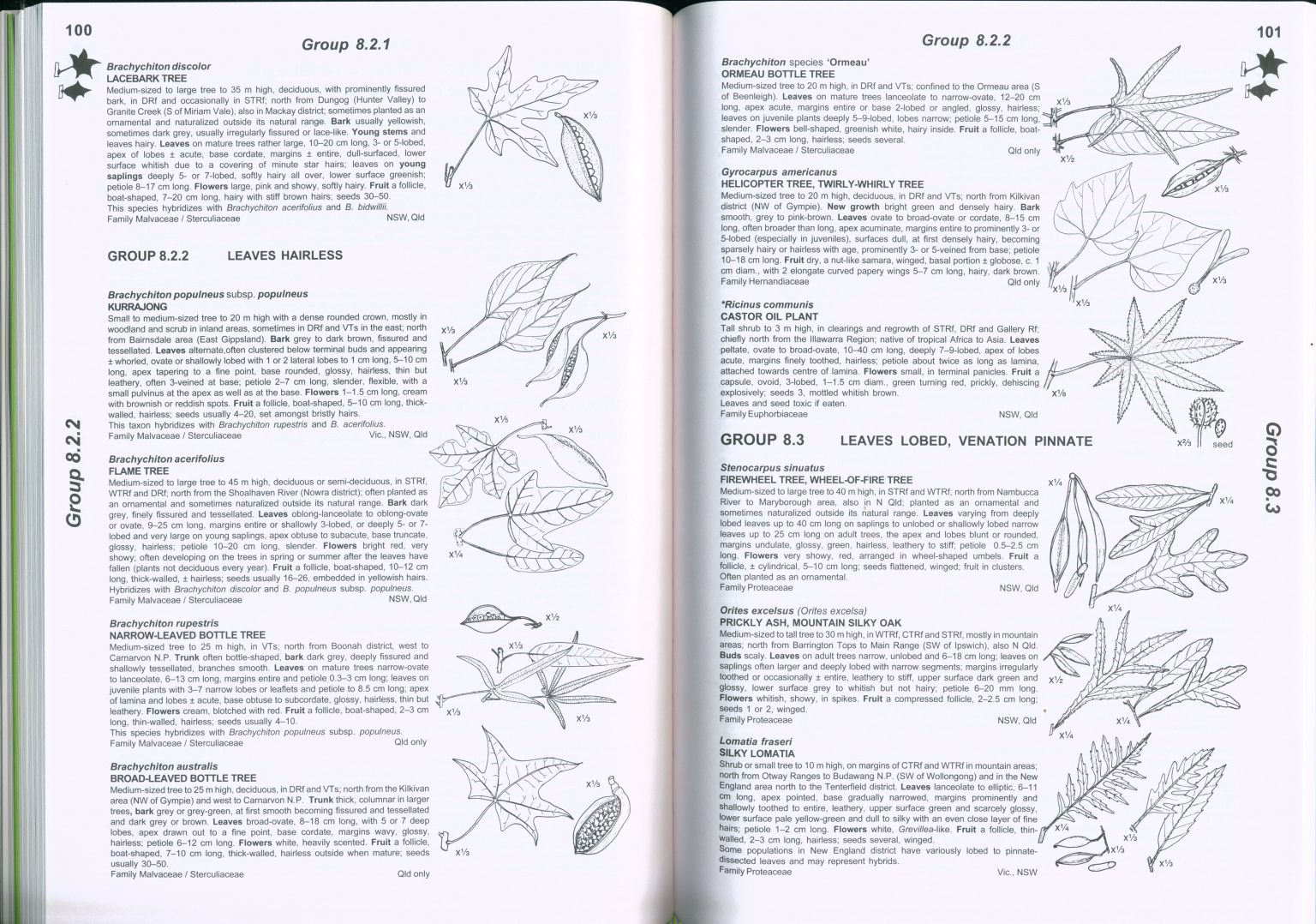 Rainforest Trees and Shrubs: A Field Guide to their Identification ...
