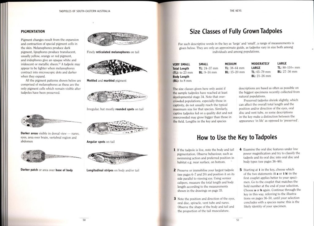 Tadpoles of South-Eastern Australia: A Guide with Keys - Nokomis