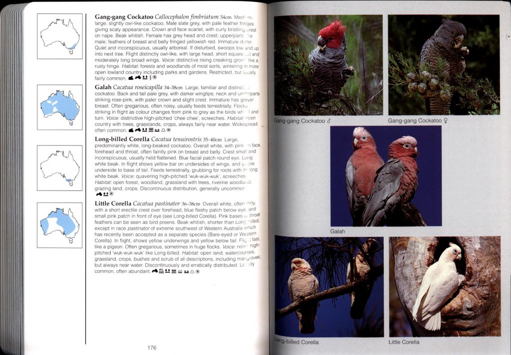 Photographic Field Guide: Birds of Australia (Second Edition) - Nokomis