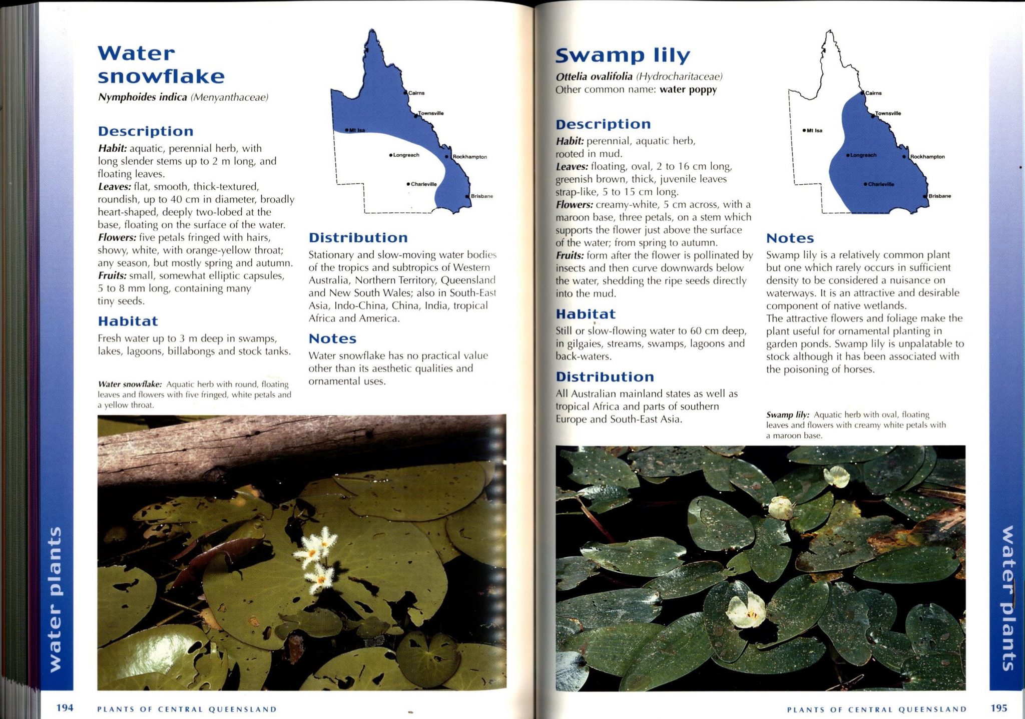Plants of Central Queensland: Their Identification and Uses - Nokomis