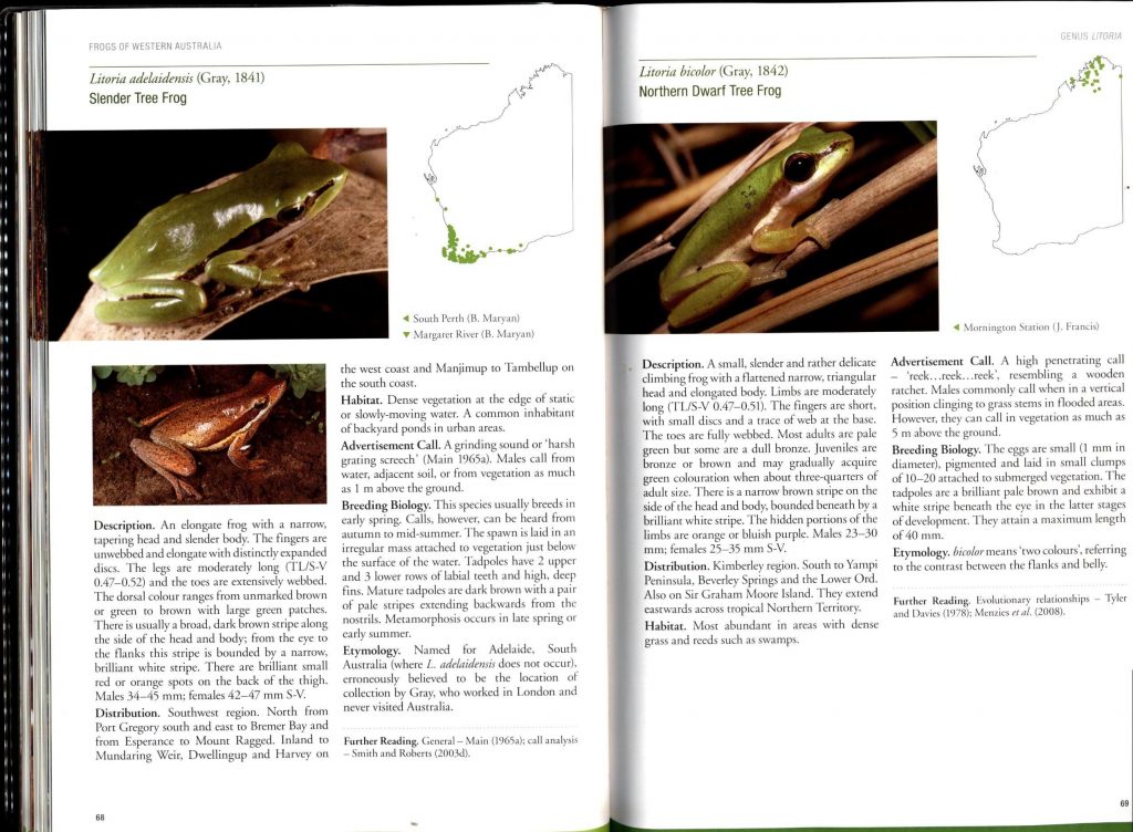 Field Guide to Frogs of Western Australia (Fourth Edition) - Nokomis