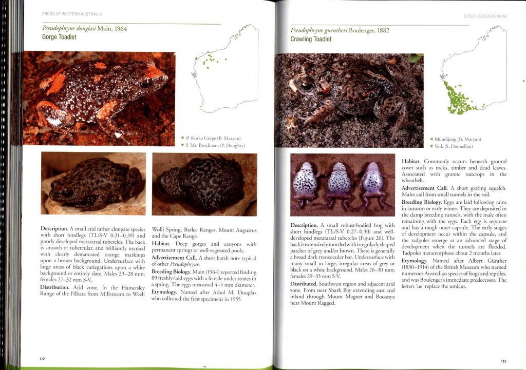 Field Guide to Frogs of Western Australia (Fourth Edition) - Nokomis