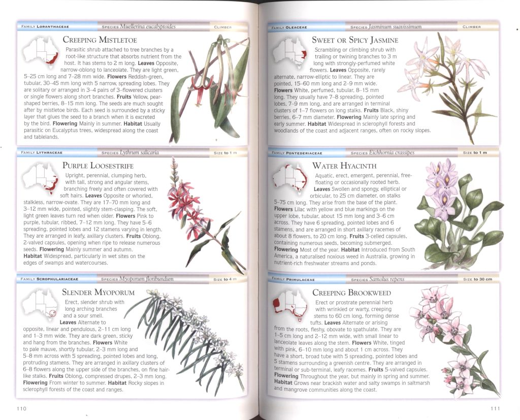 Cronin's Key Guide to Australian Wildflowers (Third Edition) - Nokomis