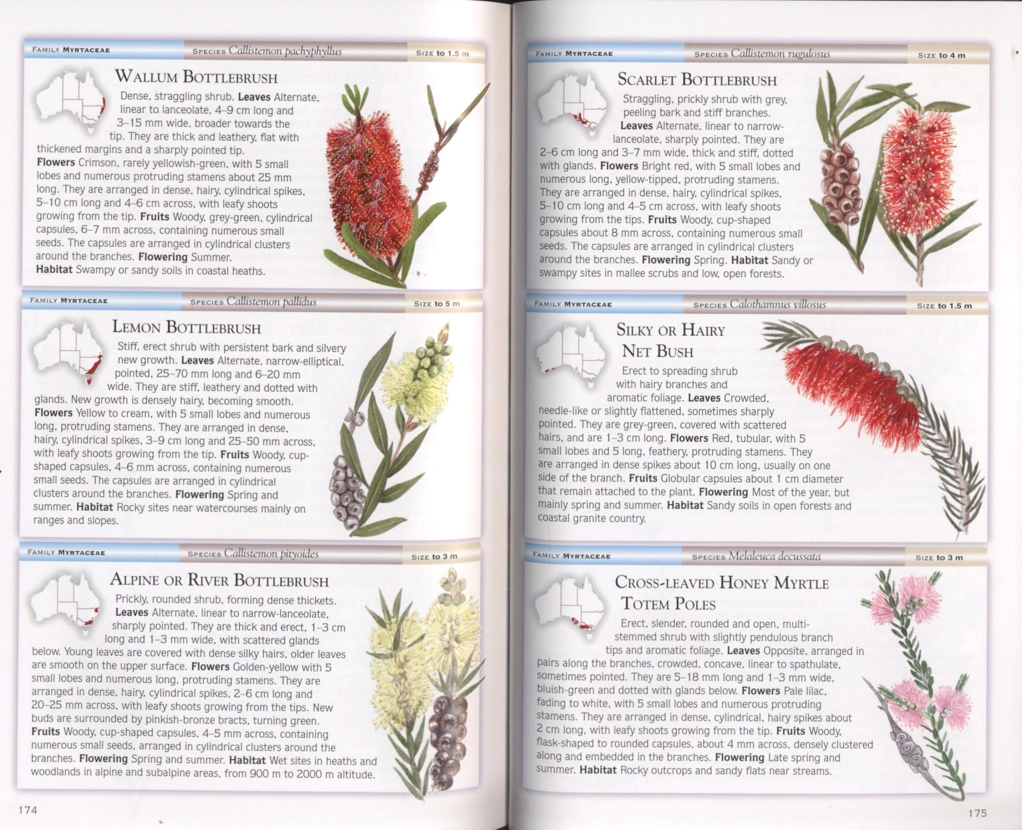 Cronin's Key Guide to Australian Wildflowers (Third Edition) - Nokomis