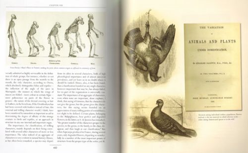 On the Origin of Species: The Illustrated Edition - Nokomis