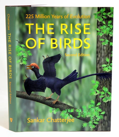 The Rise of Birds: 225 Million Years of Evolution - Nokomis