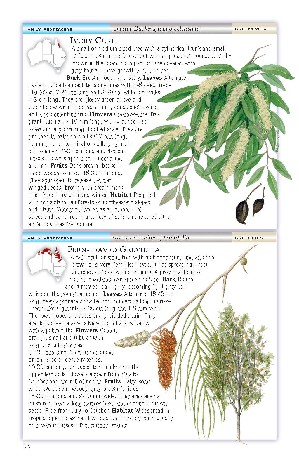 Cronin's Key Guide to Australian Trees - Nokomis