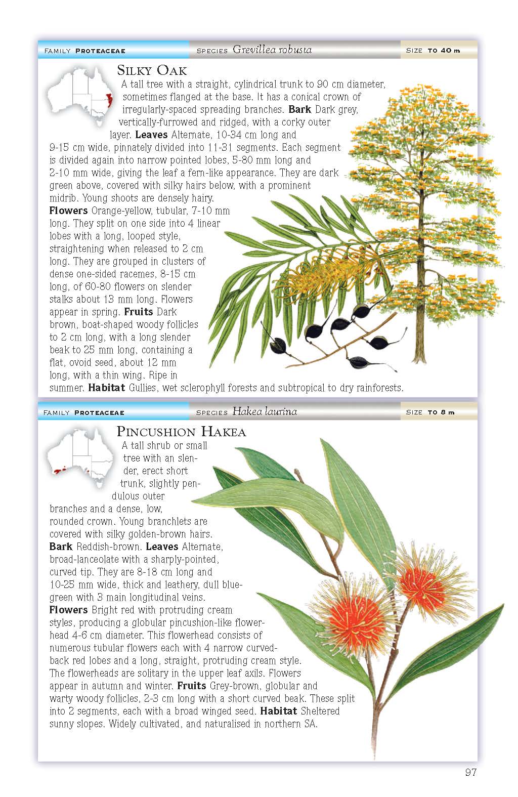 Cronin's Key Guide to Australian Trees - Nokomis
