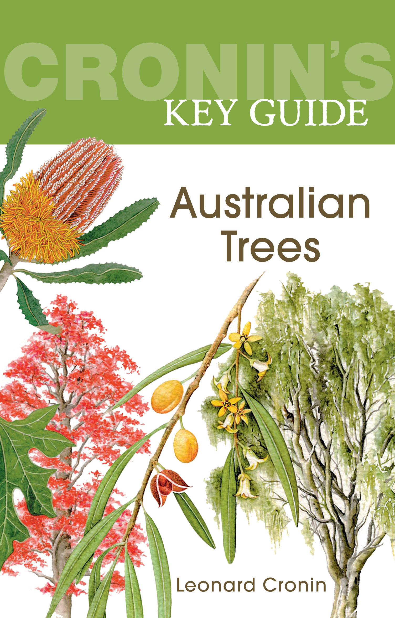 Photographic Guide to Native Plants of the Australian Capital Territory ...