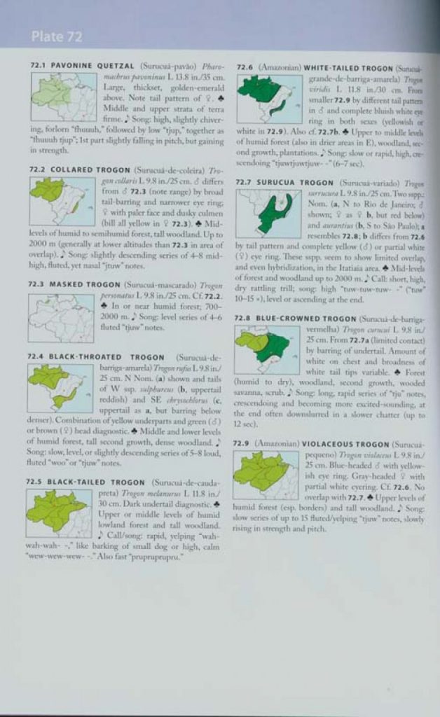 A Field Guide to the Birds of Brazil - Nokomis