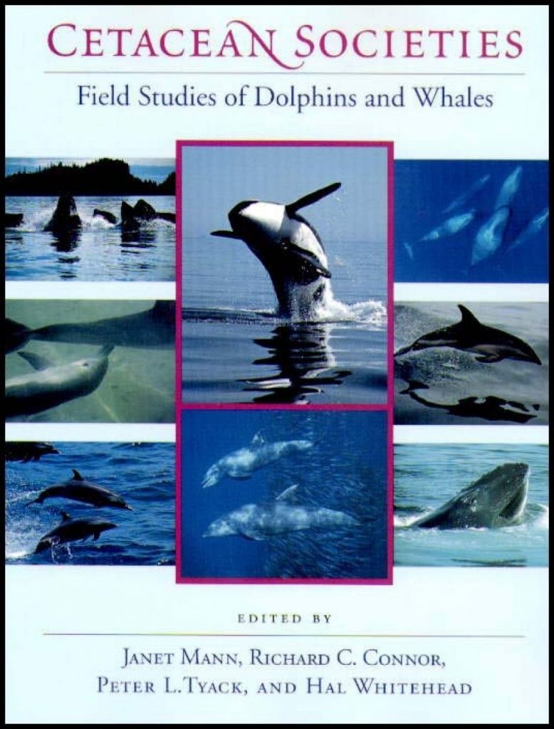 Cetacean Societies: Field Studies of Dolphins and Whales - Nokomis