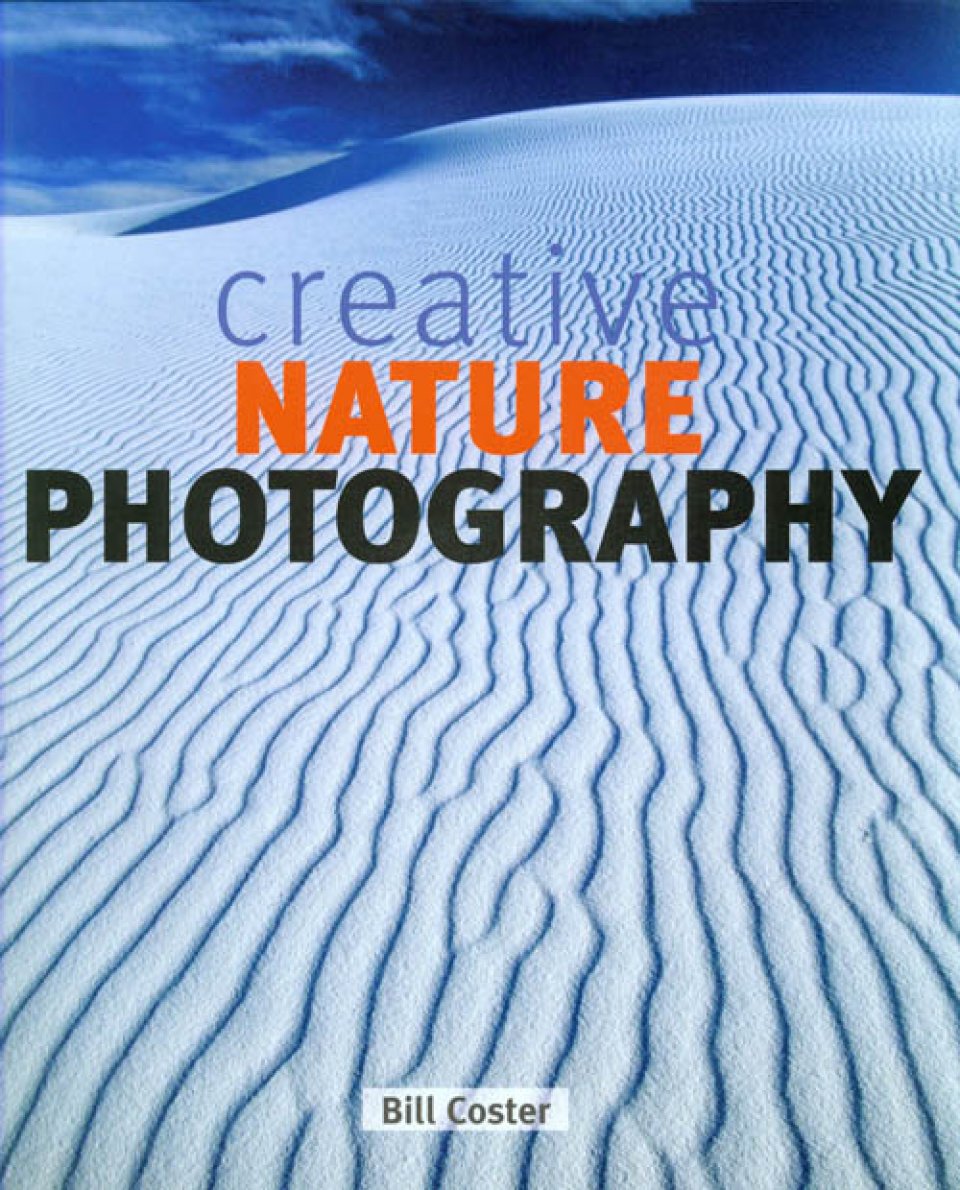 Creative Nature Photography - Nokomis