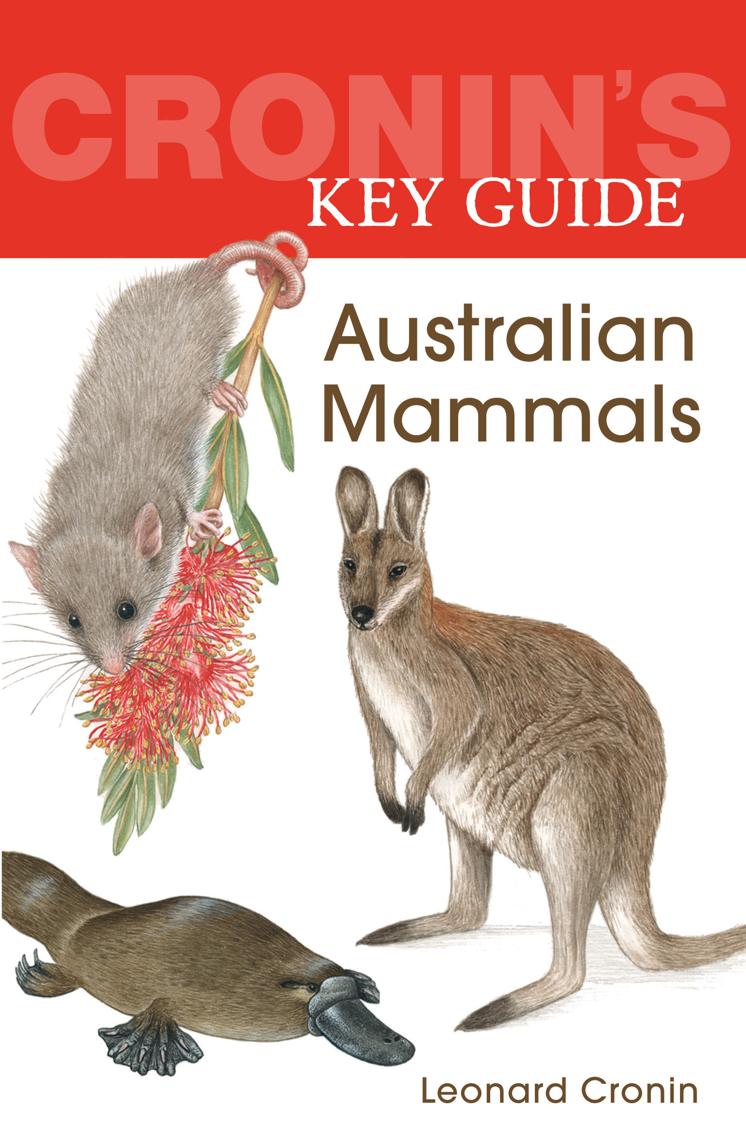 Cenozoic Mammals of Africa - Nokomis