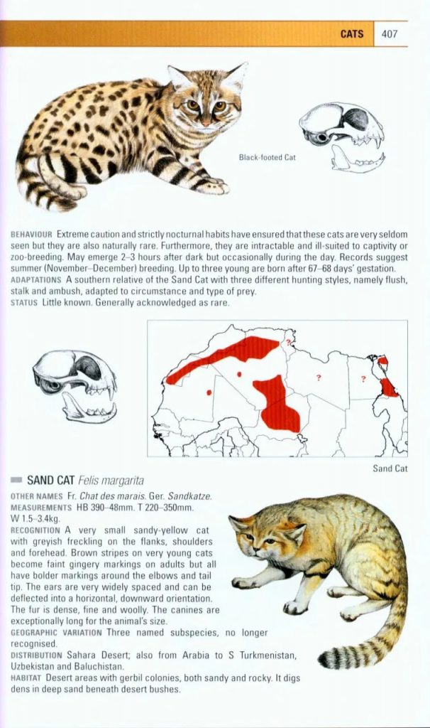 The Kingdon Field Guide to African Mammals (Second Edition) - Nokomis