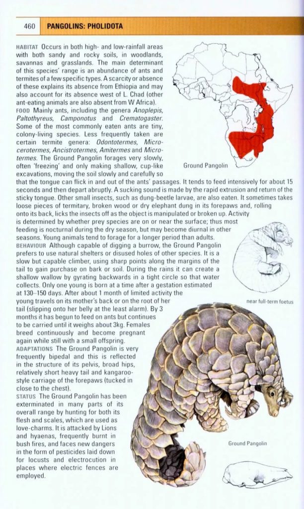 The Kingdon Field Guide to African Mammals (Second Edition) - Nokomis