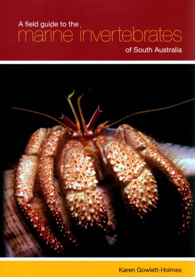 A Field Guide to the Marine Invertebrates of South Australia - Nokomis