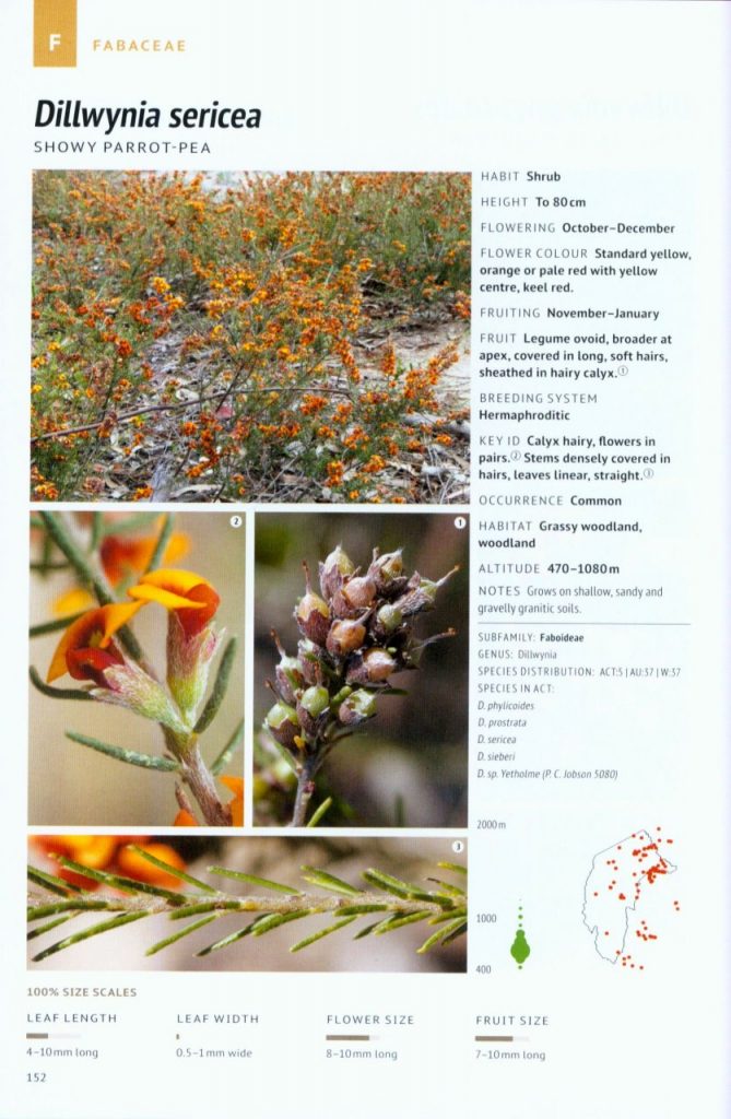 Photographic Guide to Native Plants of the Australian Capital Territory ...