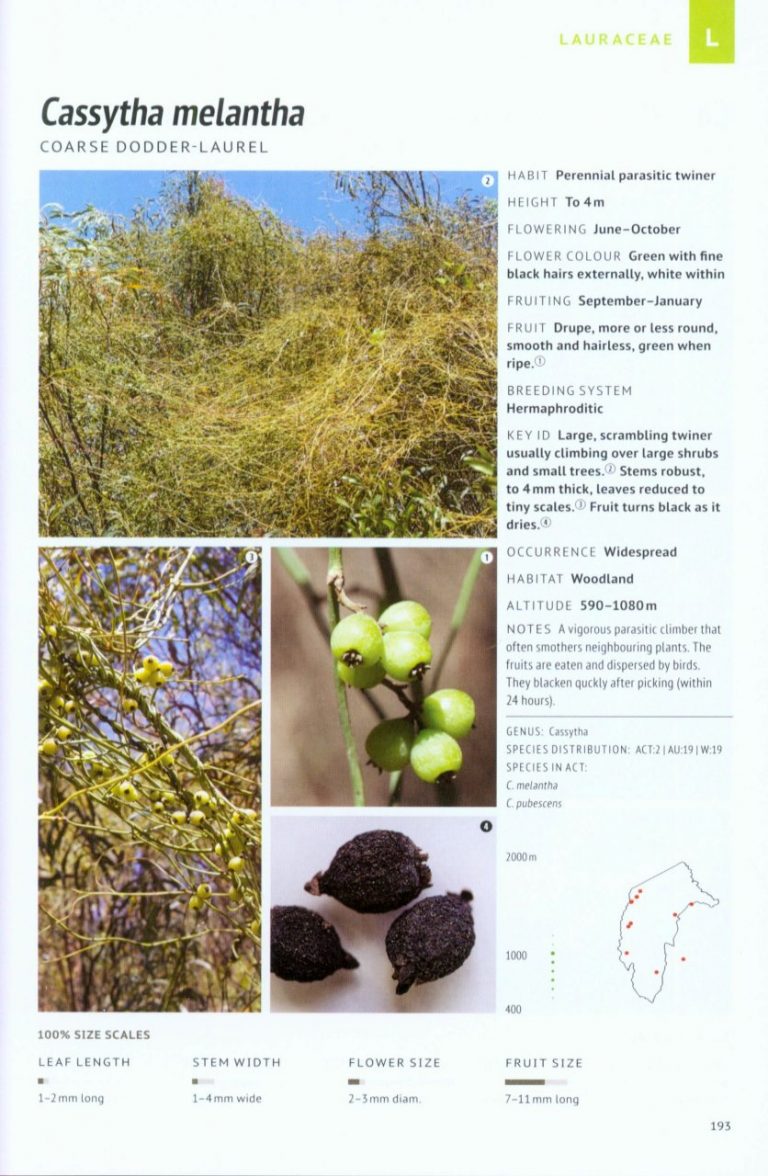 Photographic Guide to Native Plants of the Australian Capital Territory ...