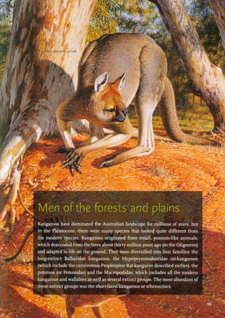 Prehistoric Giants: The Megafauna of Australia - Nokomis