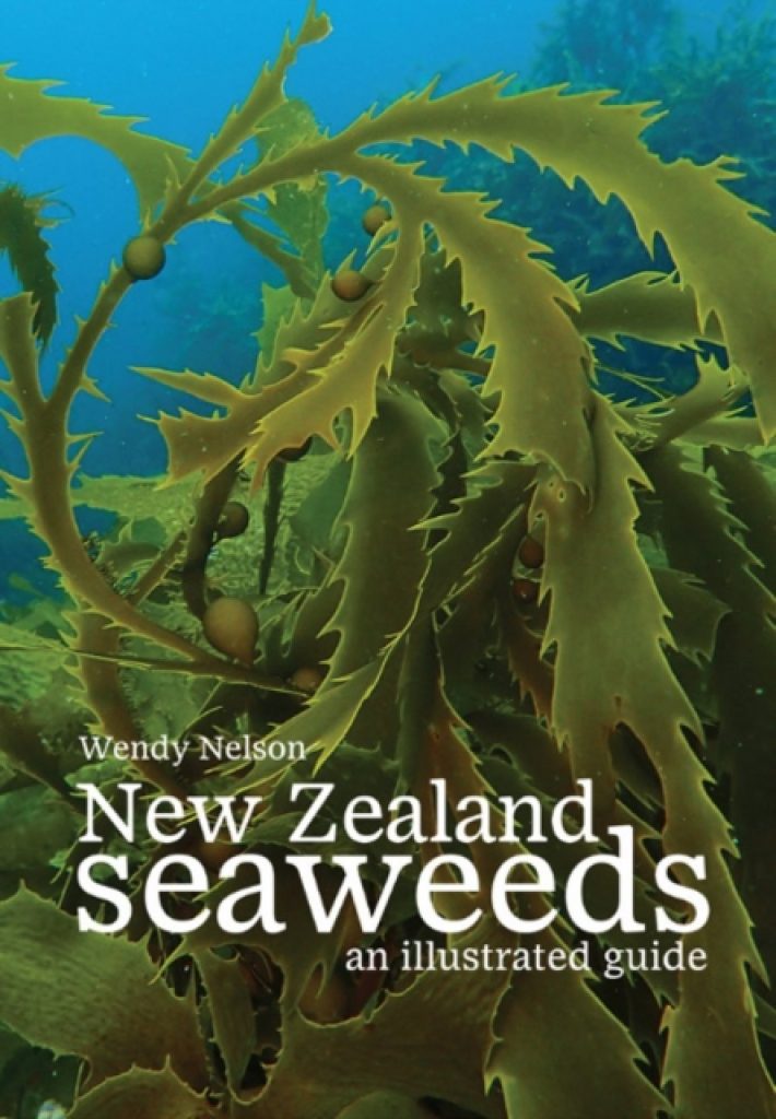 New Zealand Seaweeds: An Illustrated Guide (Second Edition) - Nokomis