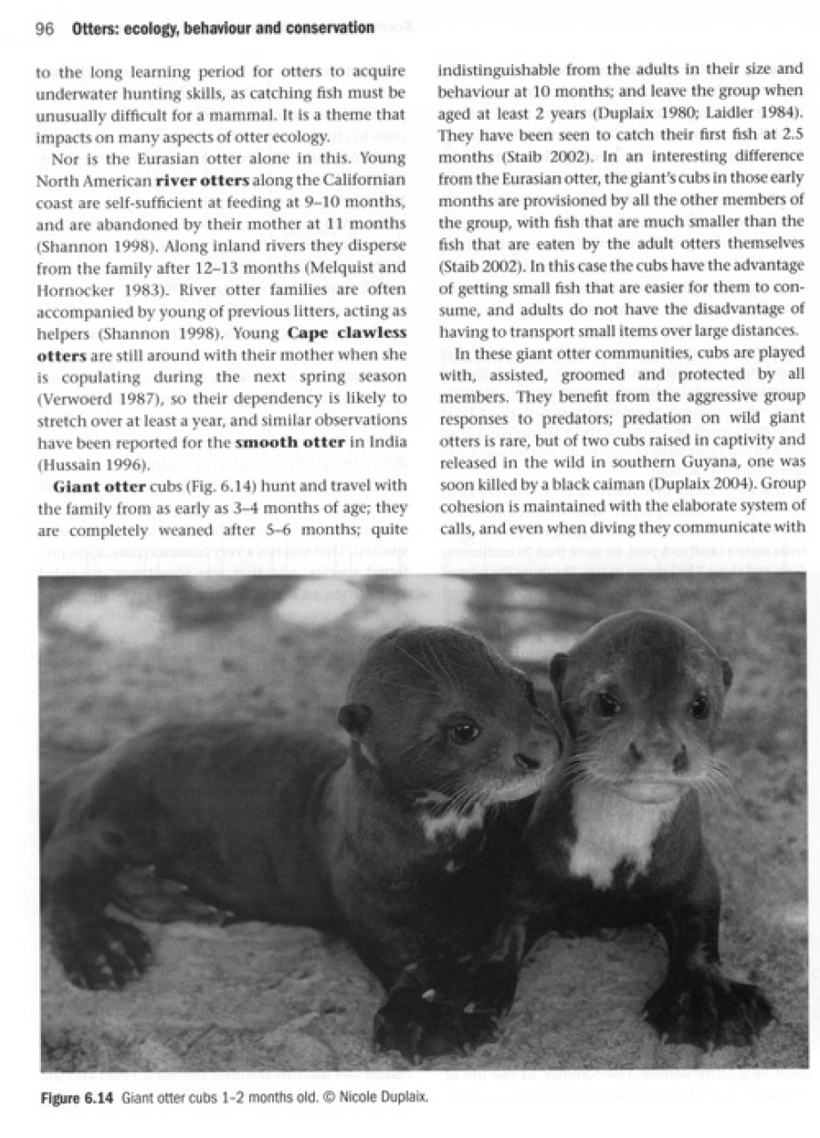 Otters: Ecology, Behaviour and Conservation - Nokomis