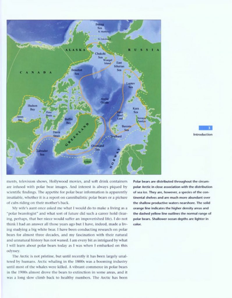 Polar Bears: A Complete Guide to Their Biology and Behavior - Nokomis