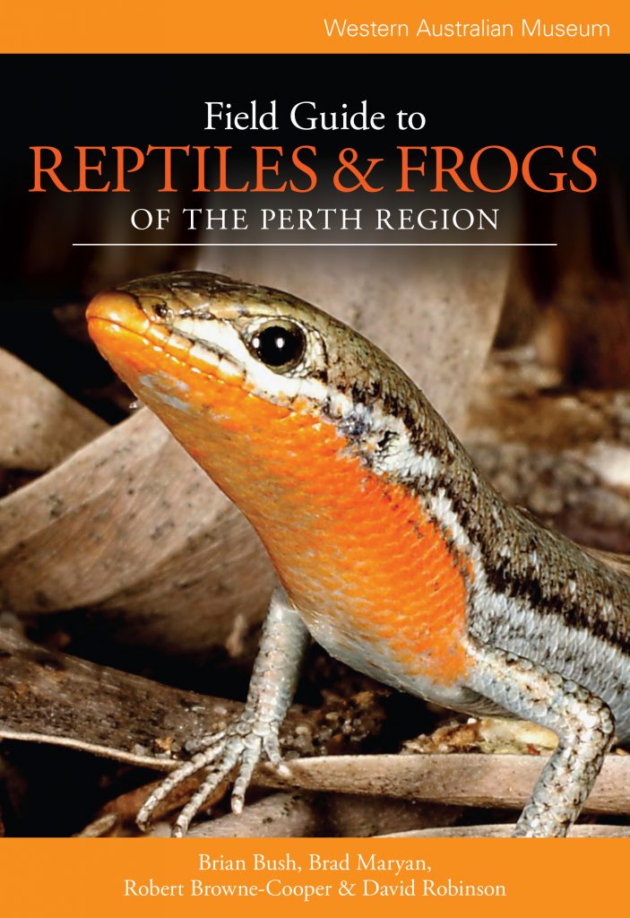 A Naturalist's Guide to the Reptiles & Amphibians of Bali (Second ...