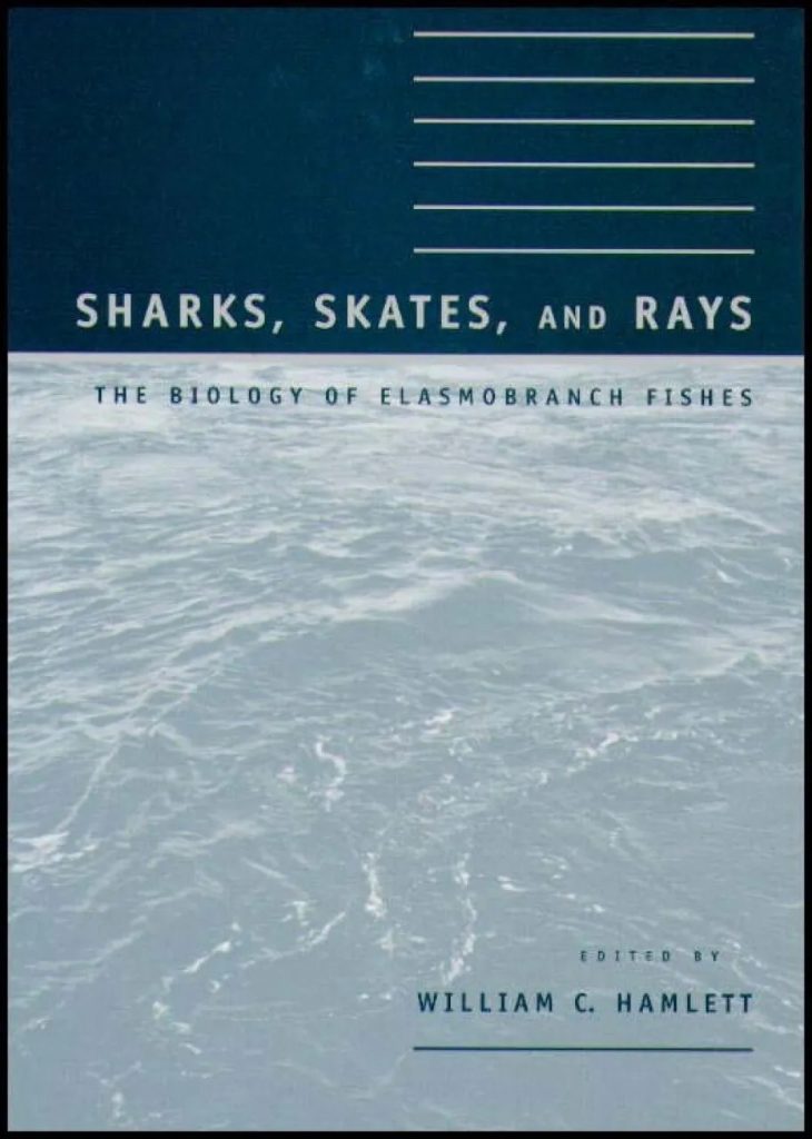 Sharks, Skates, and Rays: The Biology of Elasmobranch Fishes - Nokomis