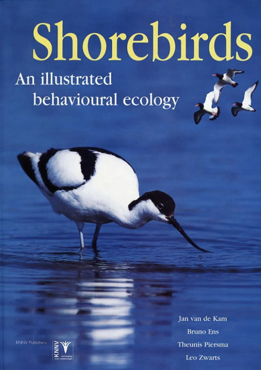 All the Birds of the World - Nokomis