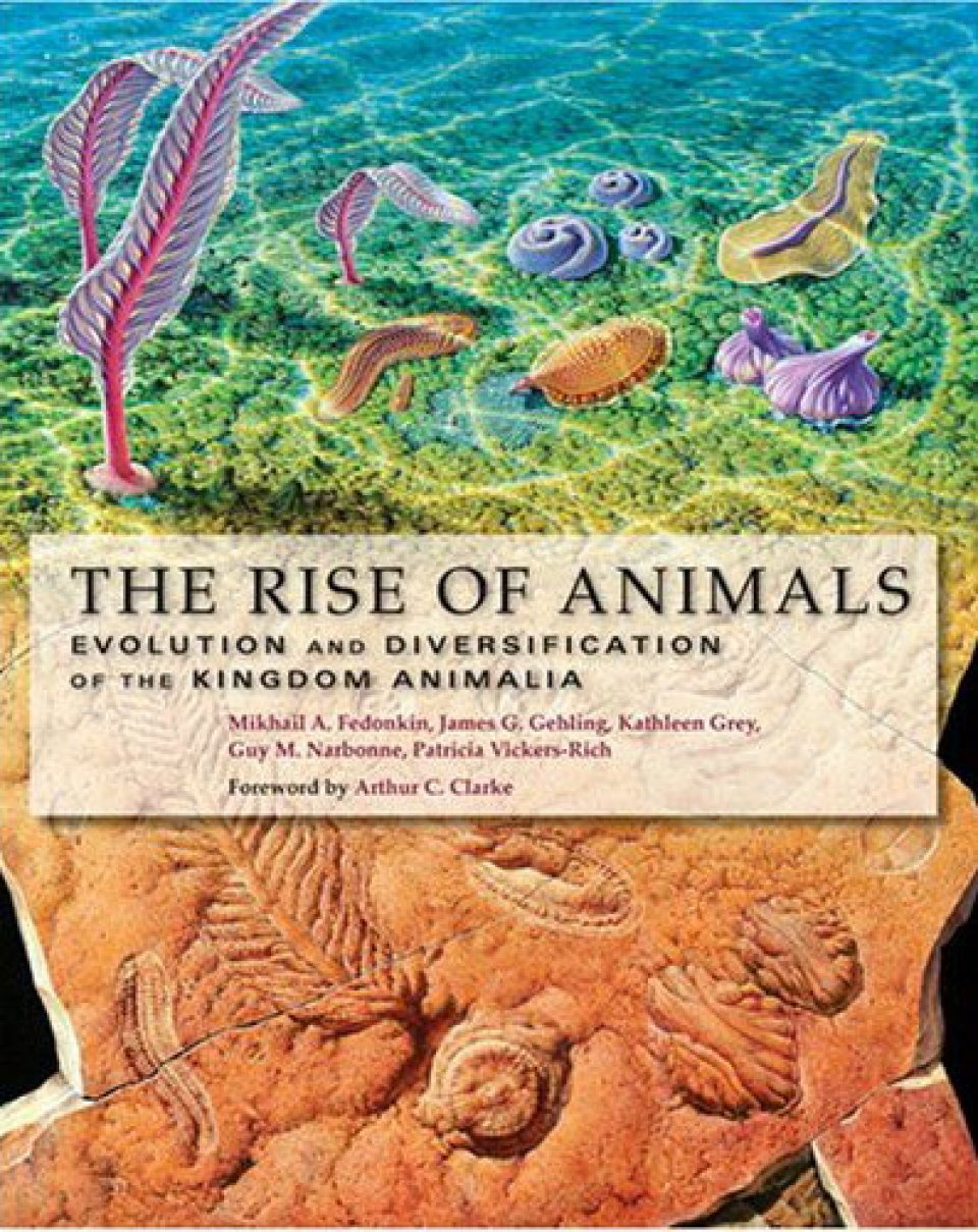 The Rise of Animals: Evolution and Diversification of the Kingdom ...