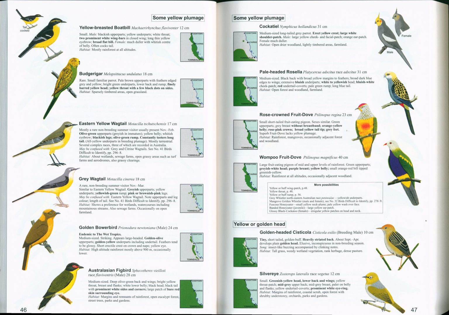 Birds of the Wet Tropics of Queensland and Great Barrier Reef and Where ...