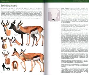 Bovids of the World: Antelopes, Gazelles, Cattle, Goats, Sheep and ...