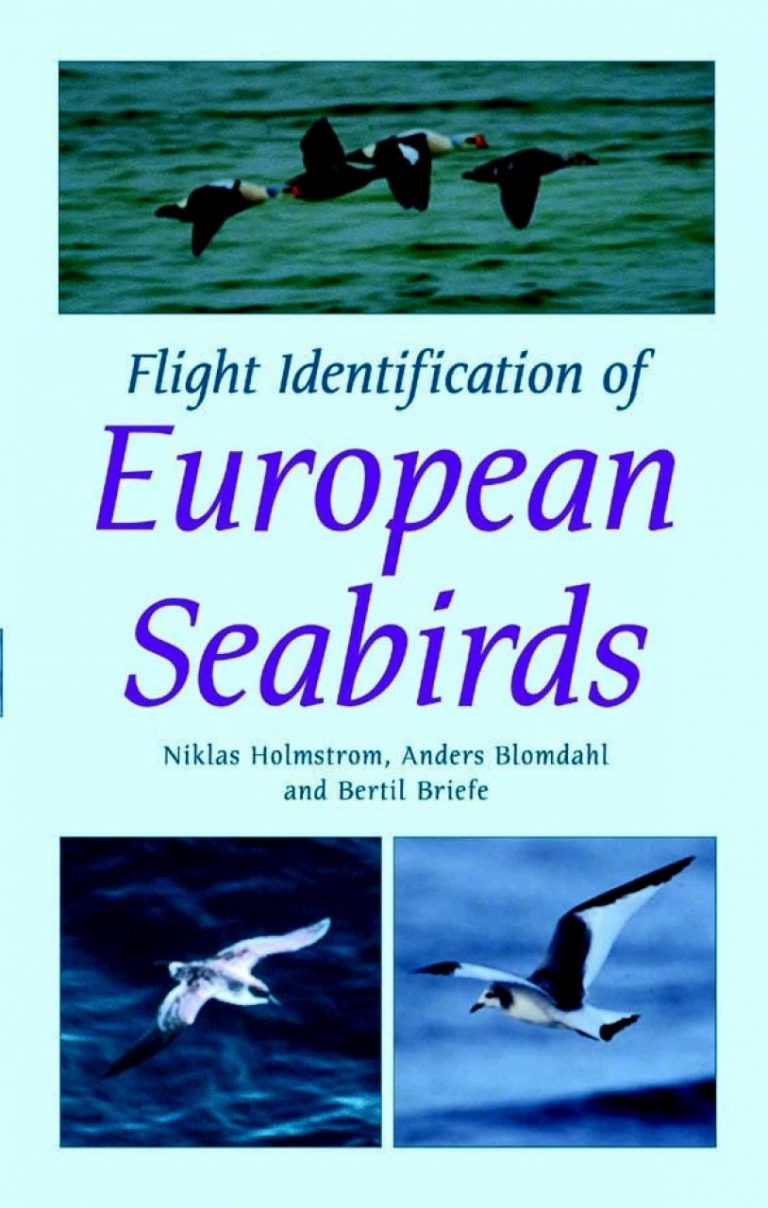 Flight Identification of European Seabirds - Nokomis