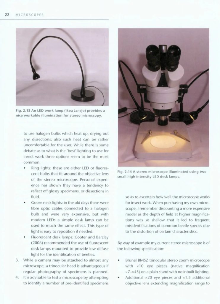 Insect Microscopy - Nokomis