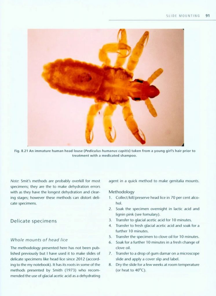 Insect Microscopy - Nokomis