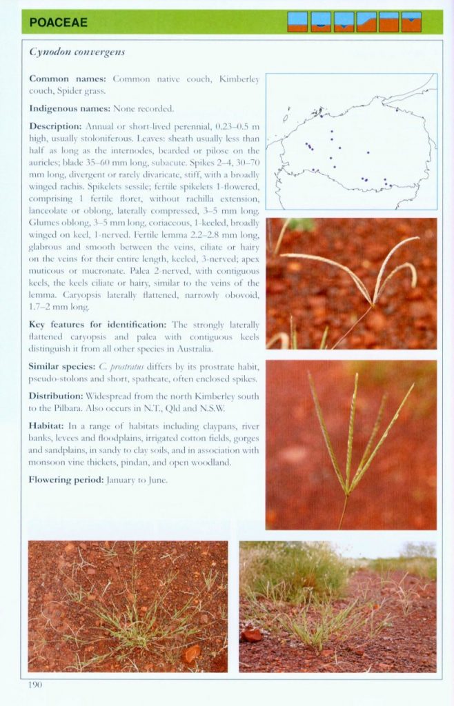 Pilbara Seed Atlas and Field Guide: Plant Restoration in Australia's ...