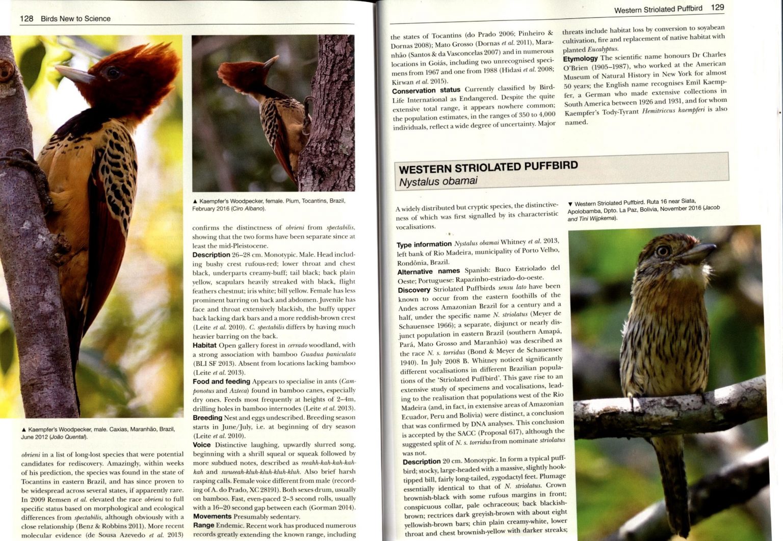 Birds New to Science: 50 Years of Avian Discoveries (Helm Photographic ...