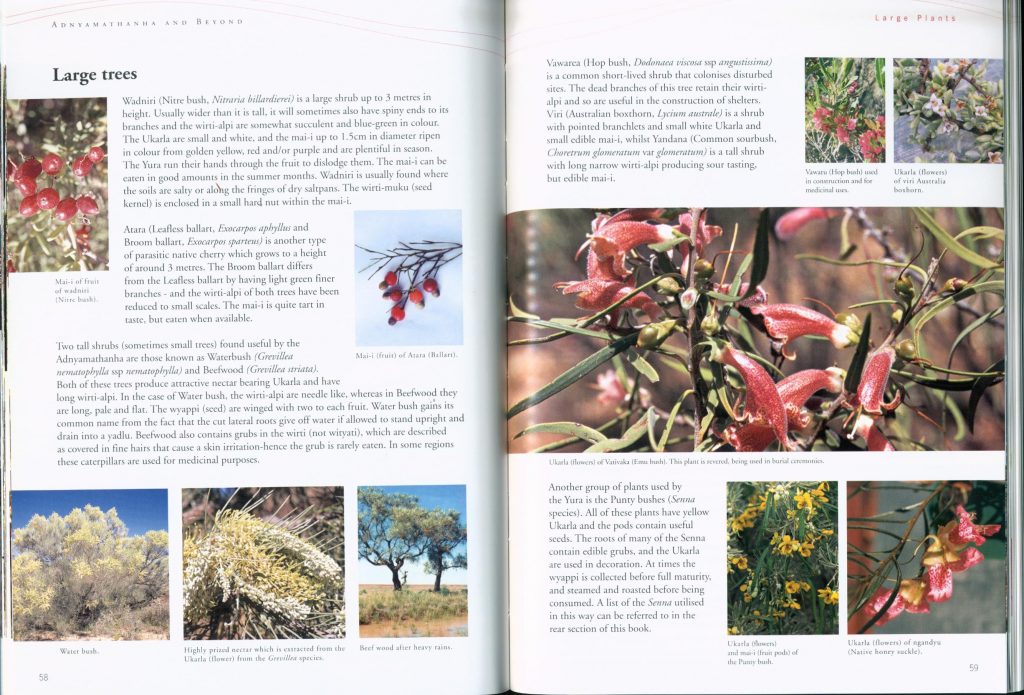 Adnyamathanha and Beyond: Useful Plants of an Ancient Land - Nokomis