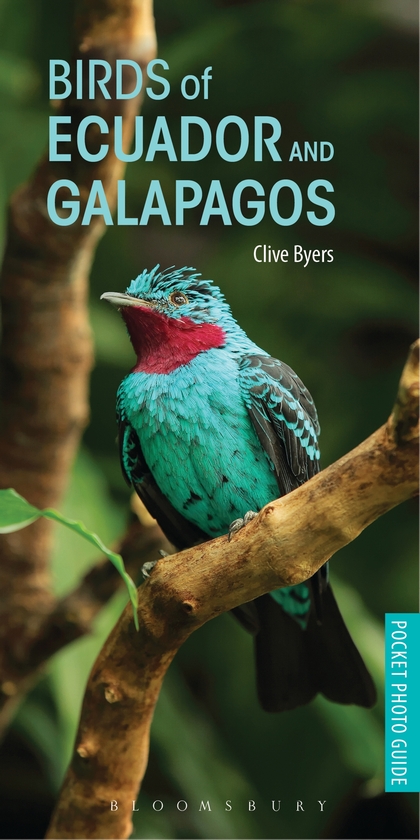 Birding Without Borders: An Obsession, A Quest, and the Biggest Year in ...