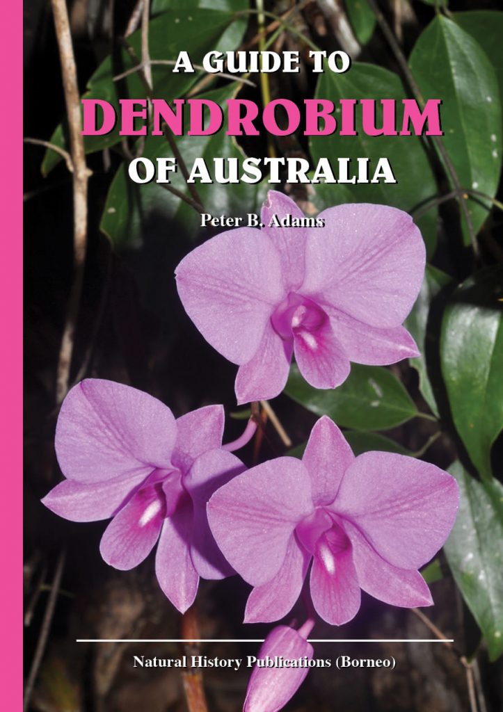 A Guide to Dendrobium of Australia - Nokomis