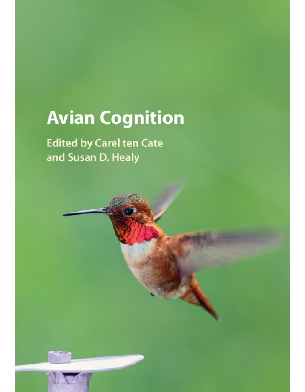 Avian Cognition - Nokomis