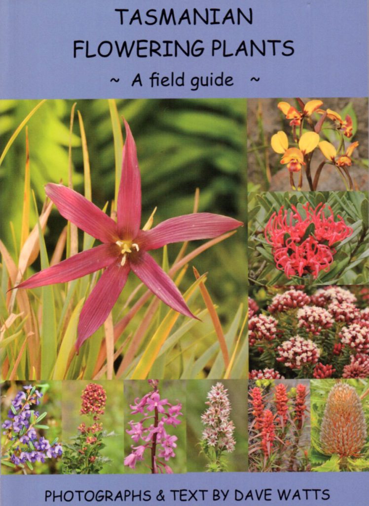 Tasmanian Flowering Plants: A Field Guide - Nokomis