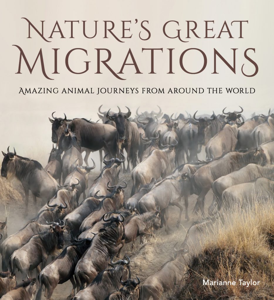 Nature's Great Migrations: Great Journeys from Around the World - Nokomis