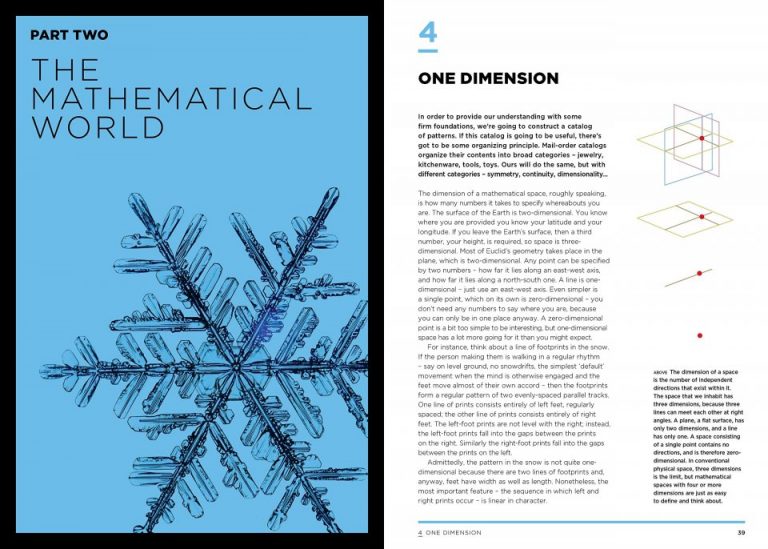 The Beauty of Numbers in Nature: Mathematical Patterns and Principles ...